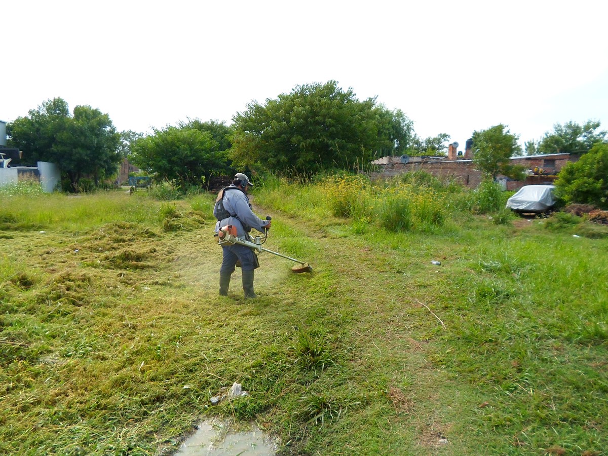 Saber Mas Santa Fe - Tareas de desmalezado | “Re planificamos y nos ...