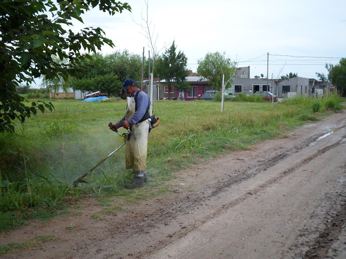Saber Mas Santa Fe - Tareas de desmalezado | “Re planificamos y nos ...
