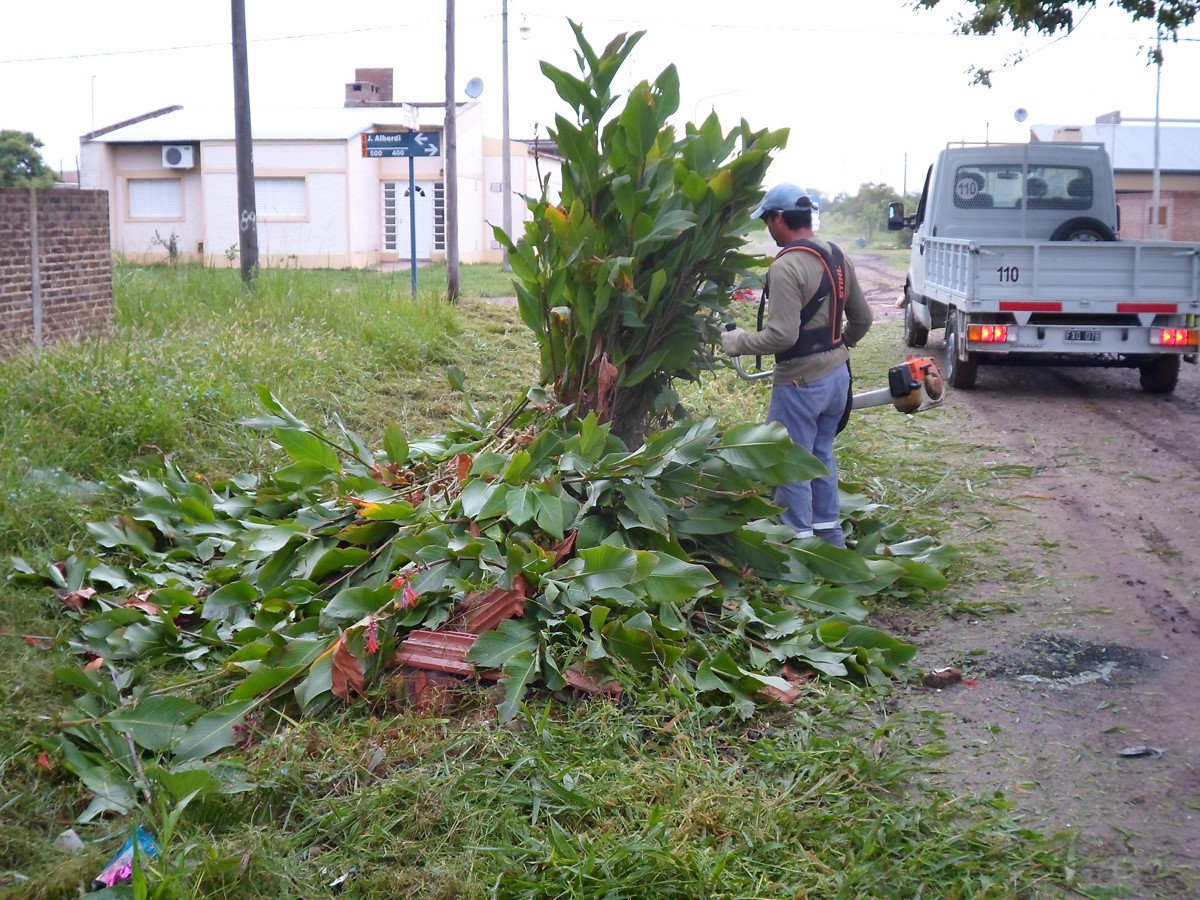 Saber Mas Santa Fe - Tareas de desmalezado | “Re planificamos y nos ...